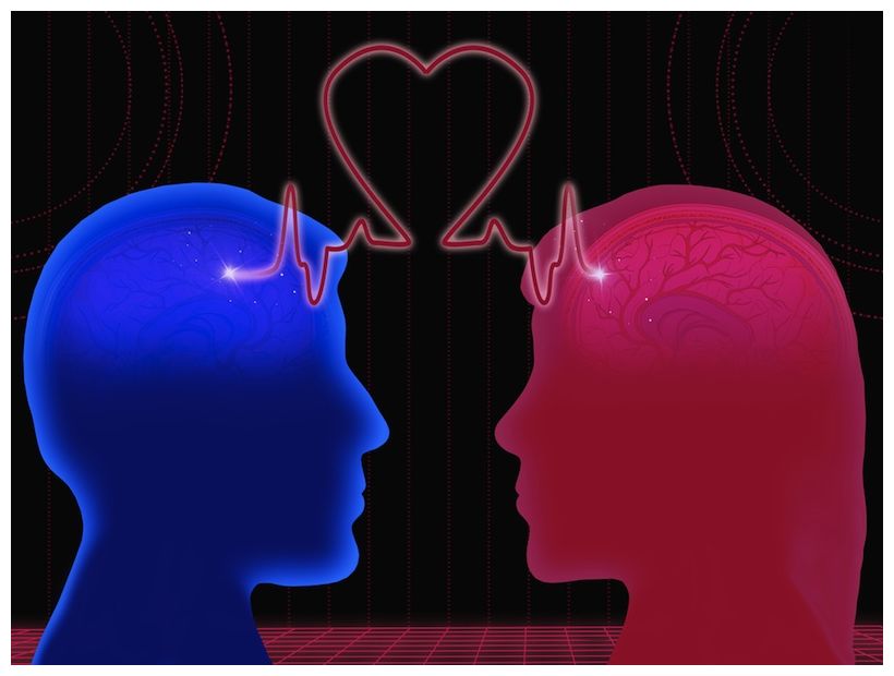 Sexual Attraction Neurowiki 2013
