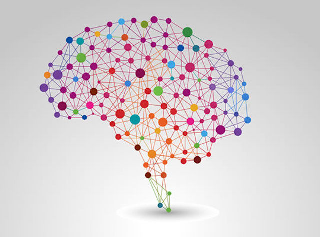 2,000 brain scans reveal vital structural differences in people with ... 2,000 brain scans reveal vital structural differences in people with ...