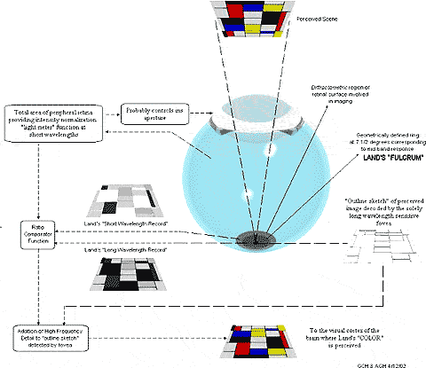 A New Physics-Based Model for Light Interaction with the Retina of the ...