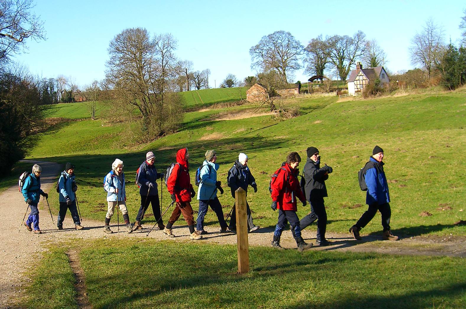 Walking in groups is better than walking alone — Health & Wellness ...