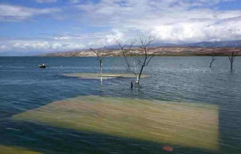 Scientists baffled by relentless rise of two Caribbean lakes — Earth ...