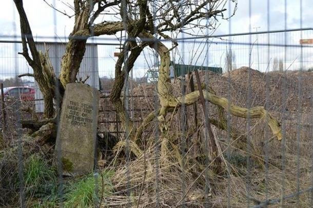 Archaeologists discover 1000 year old 'lost' village of Cadzow in ...