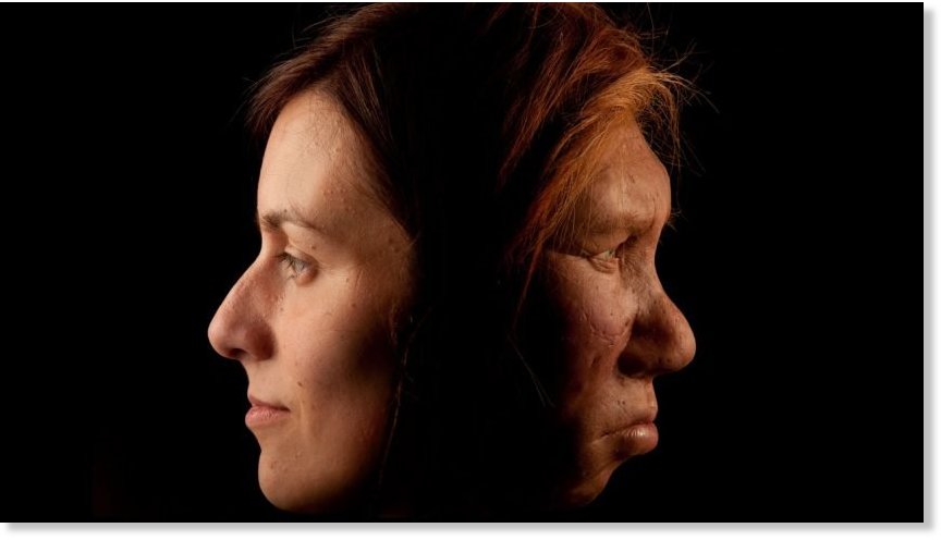 Researchers Find Sexual Past Between Modern Humans And Neanderthals