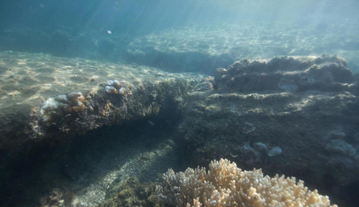Lost city of Rhapta may have been discovered on Mafia Island off the ...