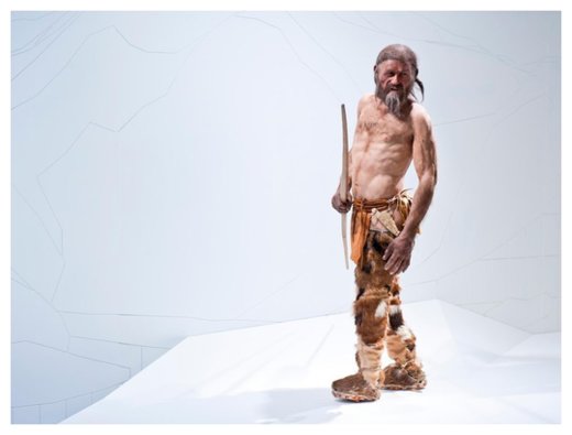 DNA reveals Ötzi the Iceman's clothes were made from many different ...