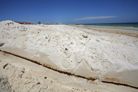 University of South Florida scientists find long line of oil 6 inches ...