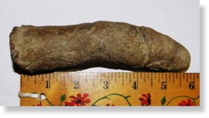 US: Phallic-Shaped Rock Discovered in Maryland -- Science & Technology ...