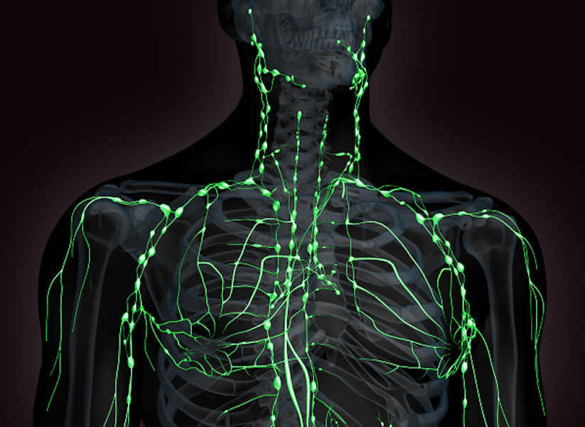 The Importance Of A Healthy Lymphatic System Health Wellness 