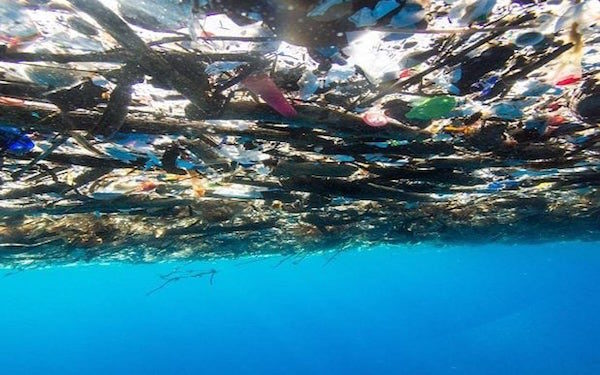 'Choked to death by human waste': Shocking pollution in the Caribbean ...