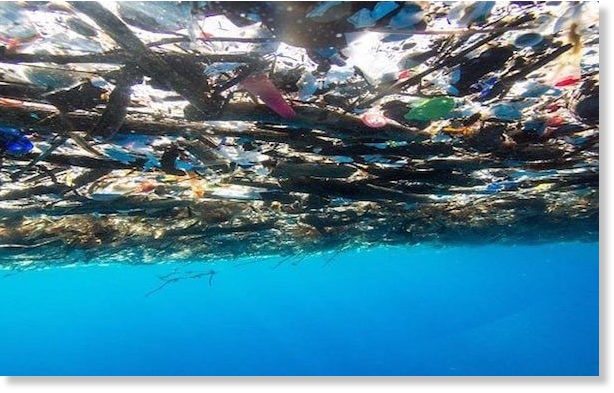 'Choked to death by human waste': Shocking pollution in the Caribbean ...
