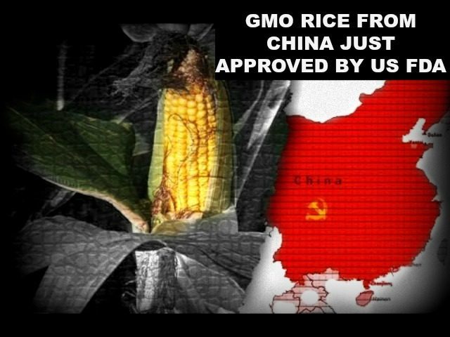 Buyer beware: US FDA just approved GMO rice — Health & Wellness — Sott.net