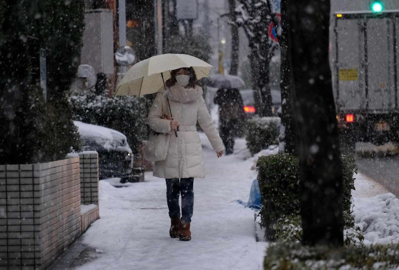 Adapt 2030 Ice Age Report: Sea currents change near Japan - Tokyo ...