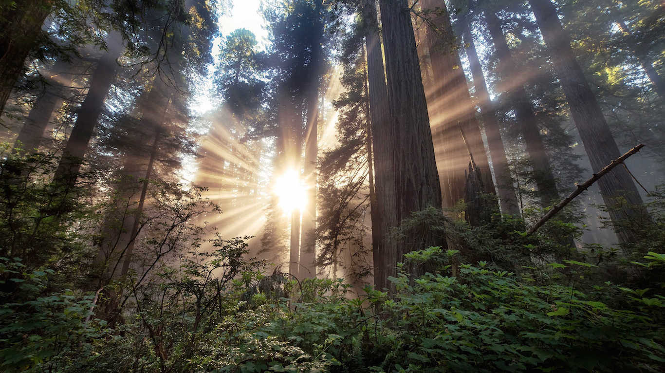 Mysterious disappearances in Humboldt County, California — High ...