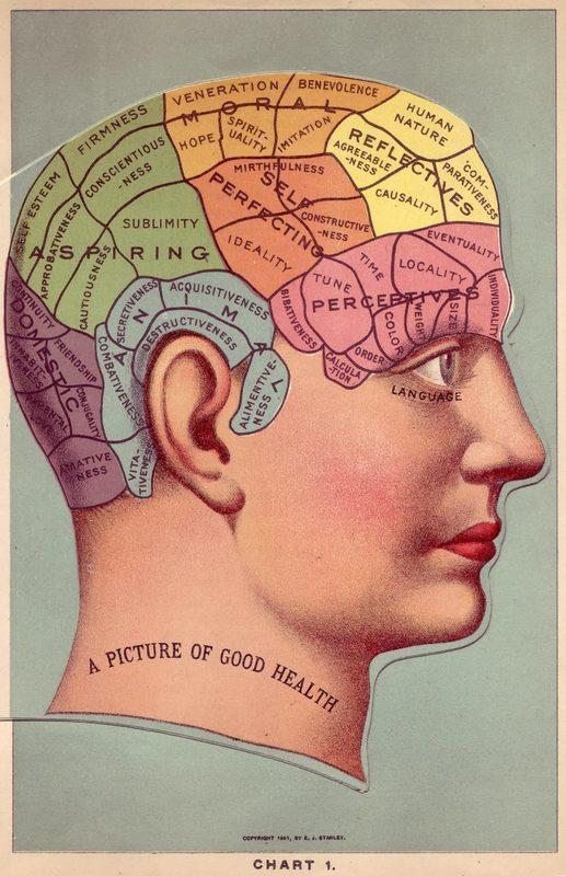 neuroplasticity-the-good-the-bad-what-happens-to-someone-s-brain