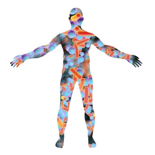 More genes in the body than there are stars in the universe — Science ...