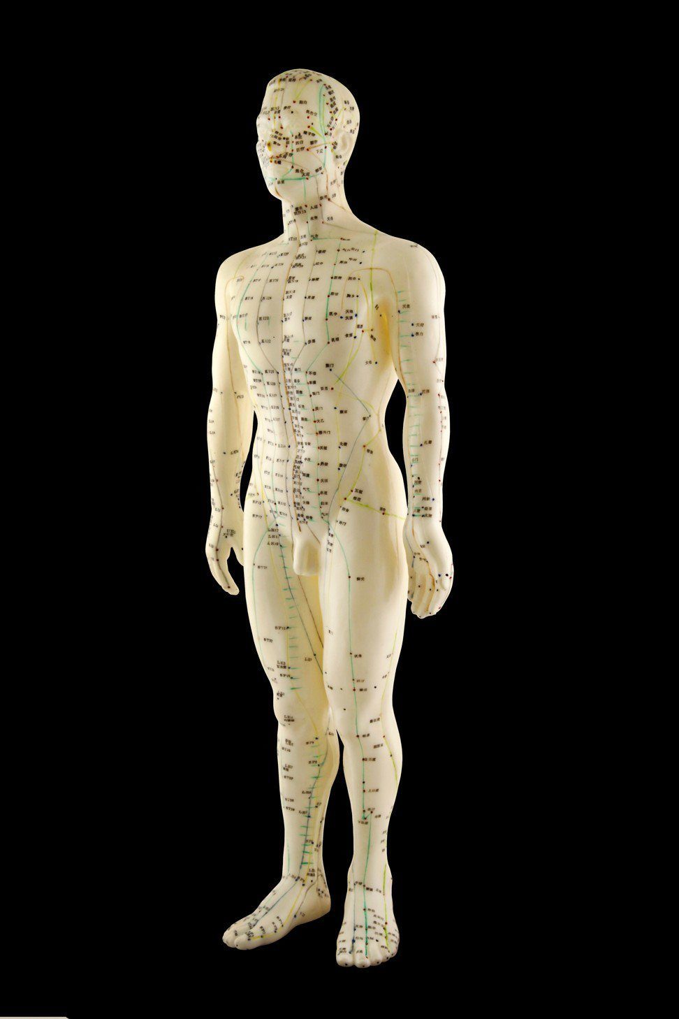 The brain-gut connection - Traditional Chinese Medicine has known this ...