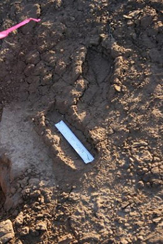 Examining aspects of Unidentified Aerial Phenomena (UAP) from a ...
