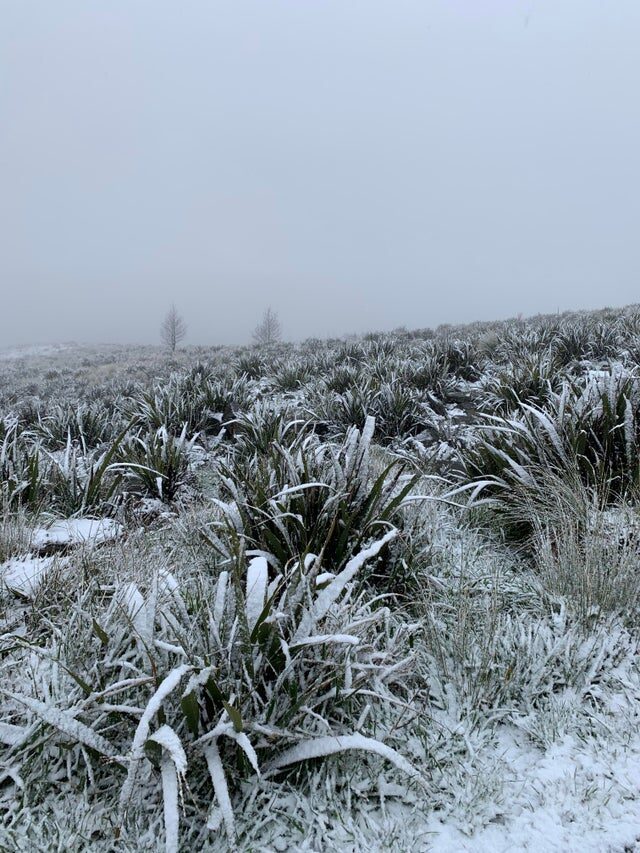 Late snow falling in parts of Canterbury, New Zealand - Te Anau wakes ...