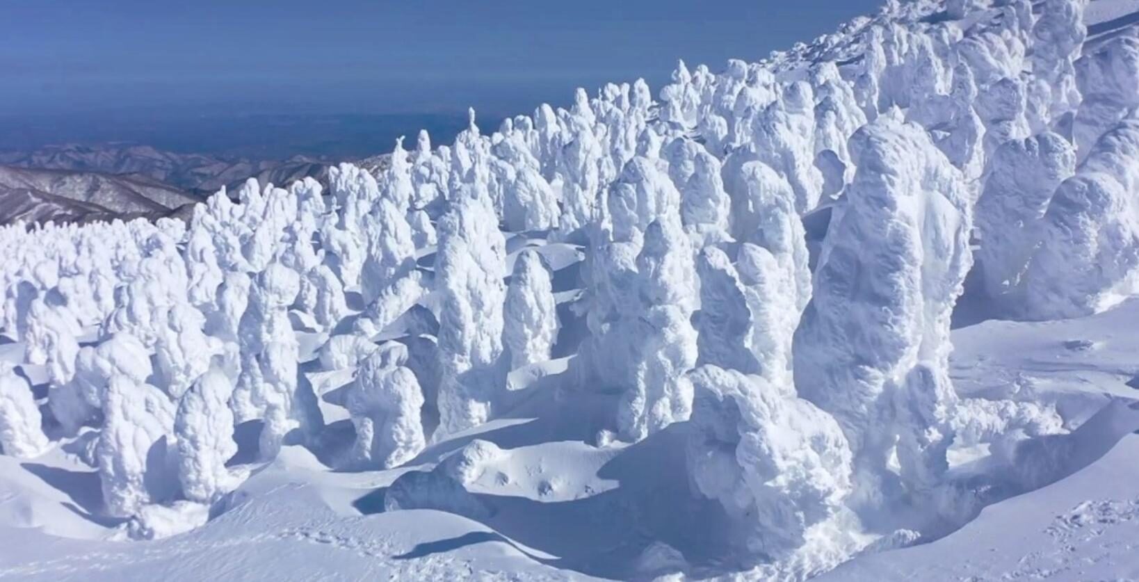 Juhyos: Japan's enchanting 'snow monsters' emerge again and attract ...