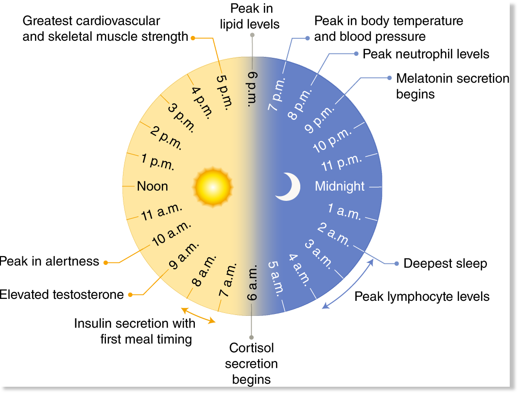 Circadian Rhythm Disruption Found To Be Common Among Mental Health