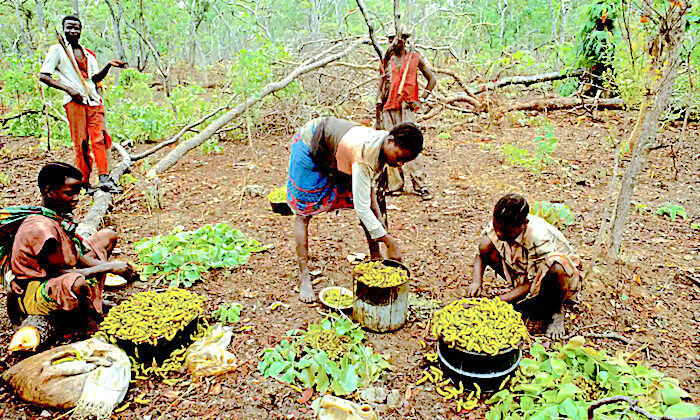 UK urges hunger-stricken African nations to farm insects — Society's ...