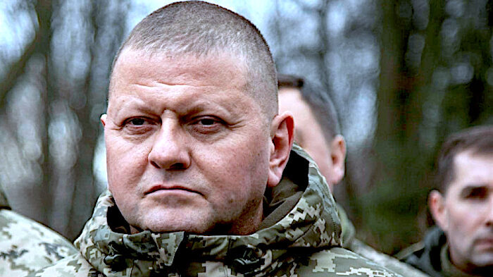 Zelenskiy and Zaluzhnyi — Puppet Masters — Sott.net