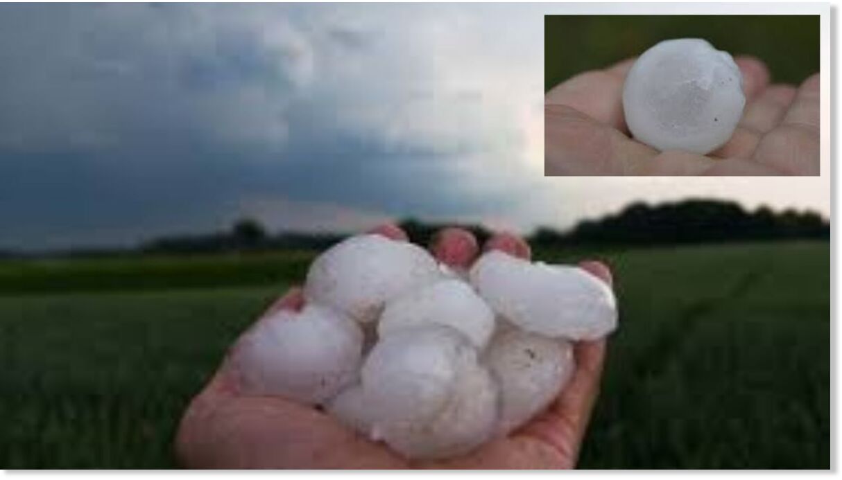Giant hail hits the Sunshine Coast, Australia — Earth Changes — Sott.net