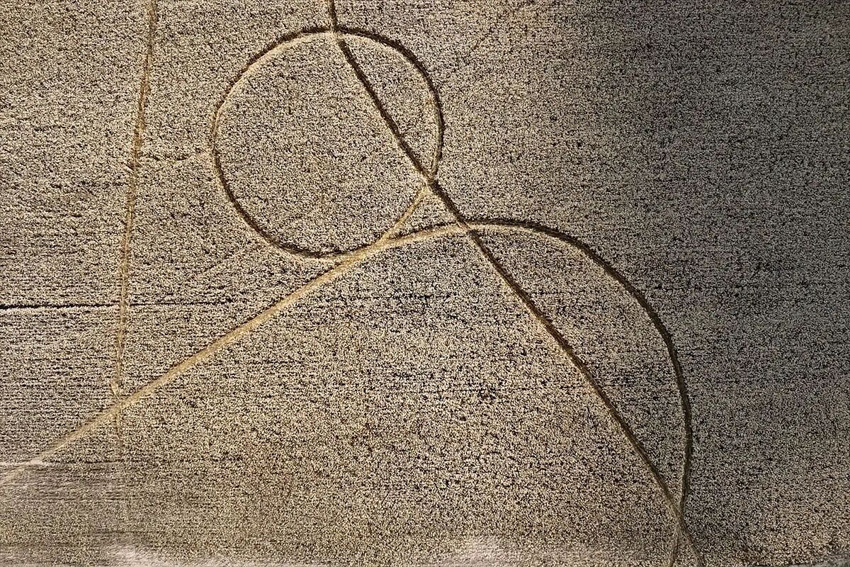 Mysterious crop 'doodle' spotted in Argentinian wheat field; "lines of ...