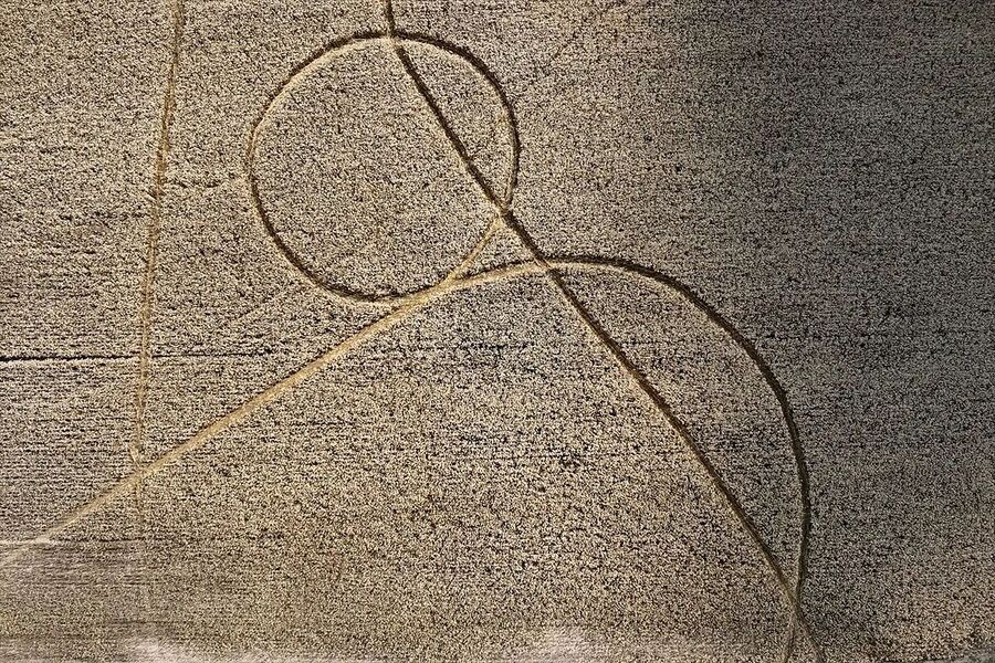 Mysterious crop 'doodle' spotted in Argentinian wheat field; "lines of ...