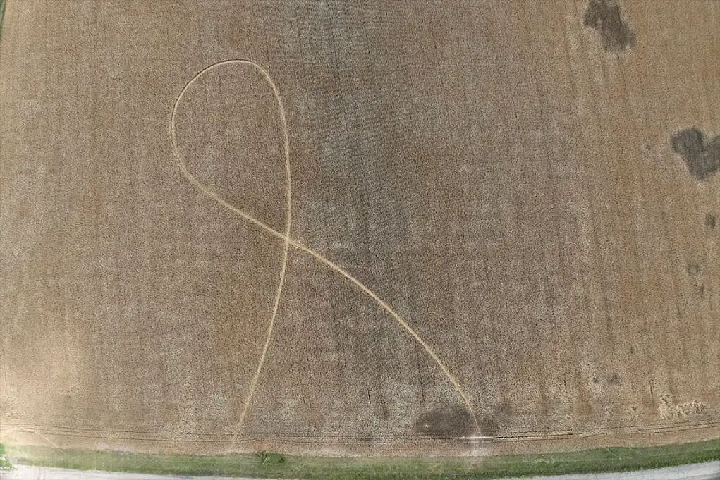 Mysterious crop 'doodle' spotted in Argentinian wheat field; "lines of ...