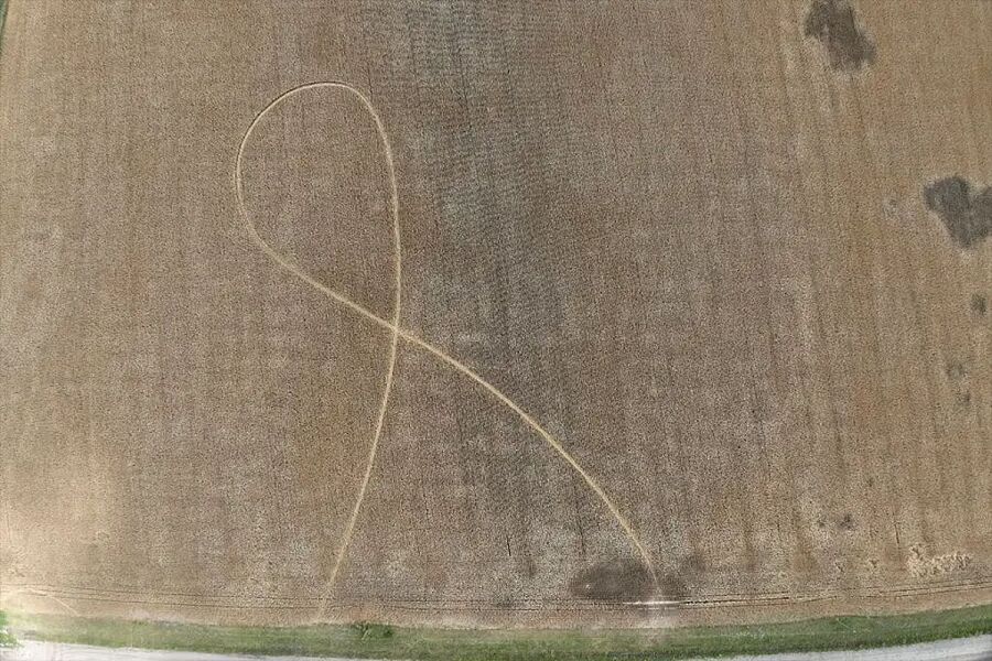 Mysterious crop 'doodle' spotted in Argentinian wheat field; "lines of ...