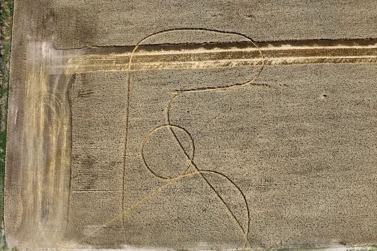 Mysterious crop 'doodle' spotted in Argentinian wheat field; "lines of ...