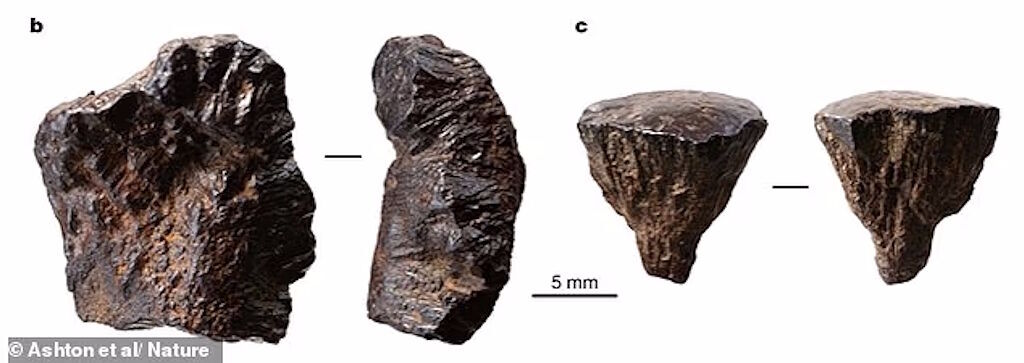 UK: Flint tools found in Suffolk in hint that ancient ancestors created ...