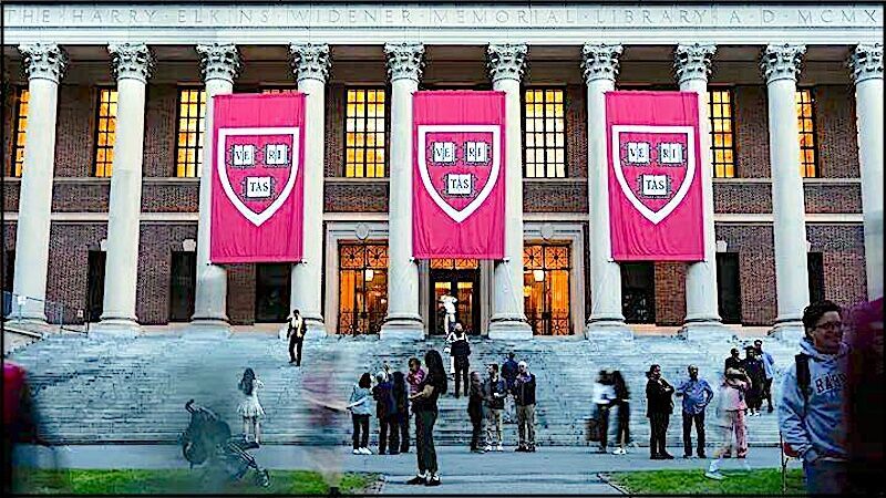 40-Year Harvard professor pens mic-drop indictment of institutional ...