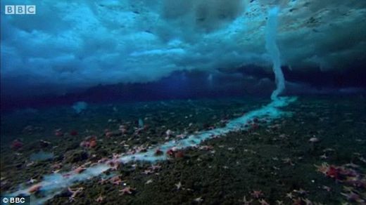 The underwater icicle of death: Bizarre 'Brinicle' forms BENEATH the ...