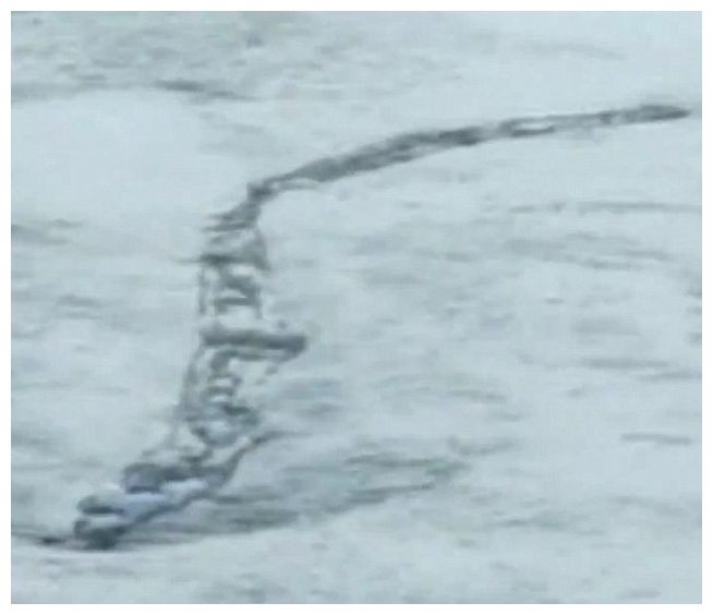 Is this Iceland's Loch Ness Monster? — High Strangeness — Sott.net