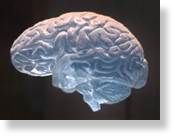 Orchestrated Objective Reduction model: An intriguing consciousness ...