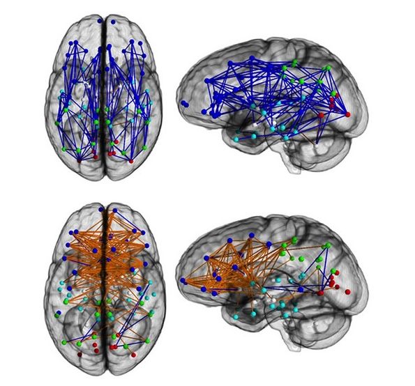 How Mens Brains Are Wired Differently Than Womens Science Of The