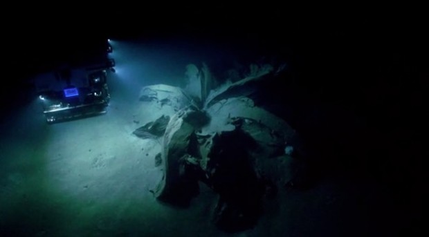 Asphalt volcano in the Gulf of Mexico — Science & Technology — Sott.net
